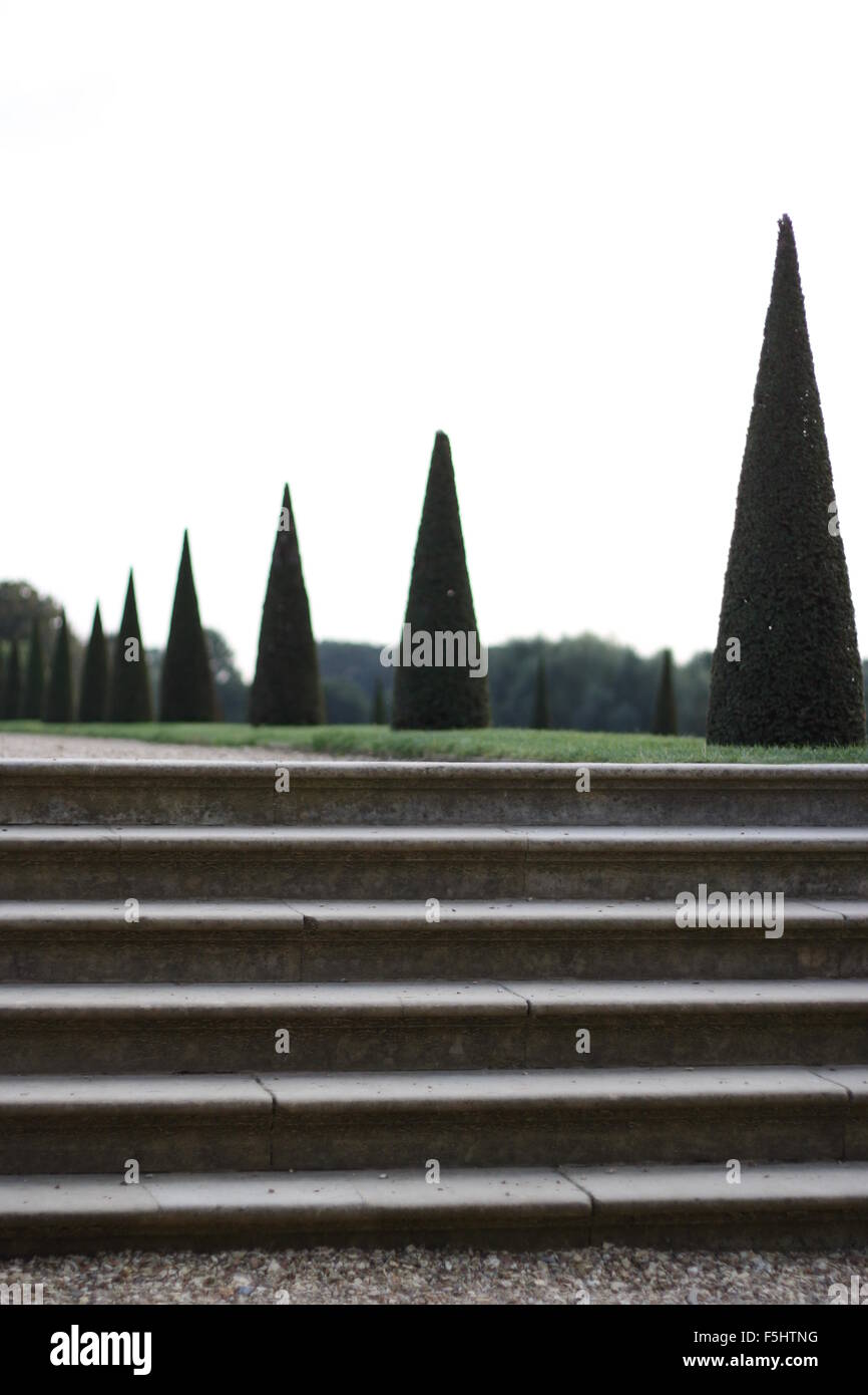 Cone shaped trees hi-res stock photography and images - Alamy