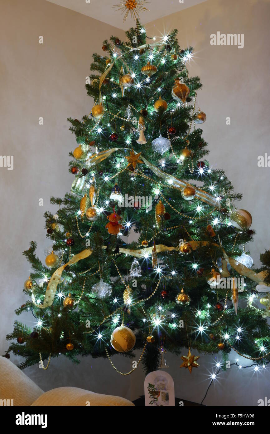Spruse tree hi-res stock photography and images - Alamy
