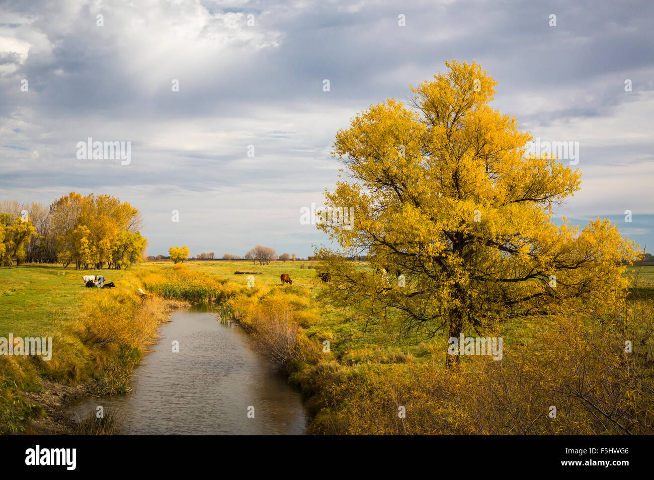 Fall foliage color and a small creek near Reinfeld, Manitoba, Canada ...