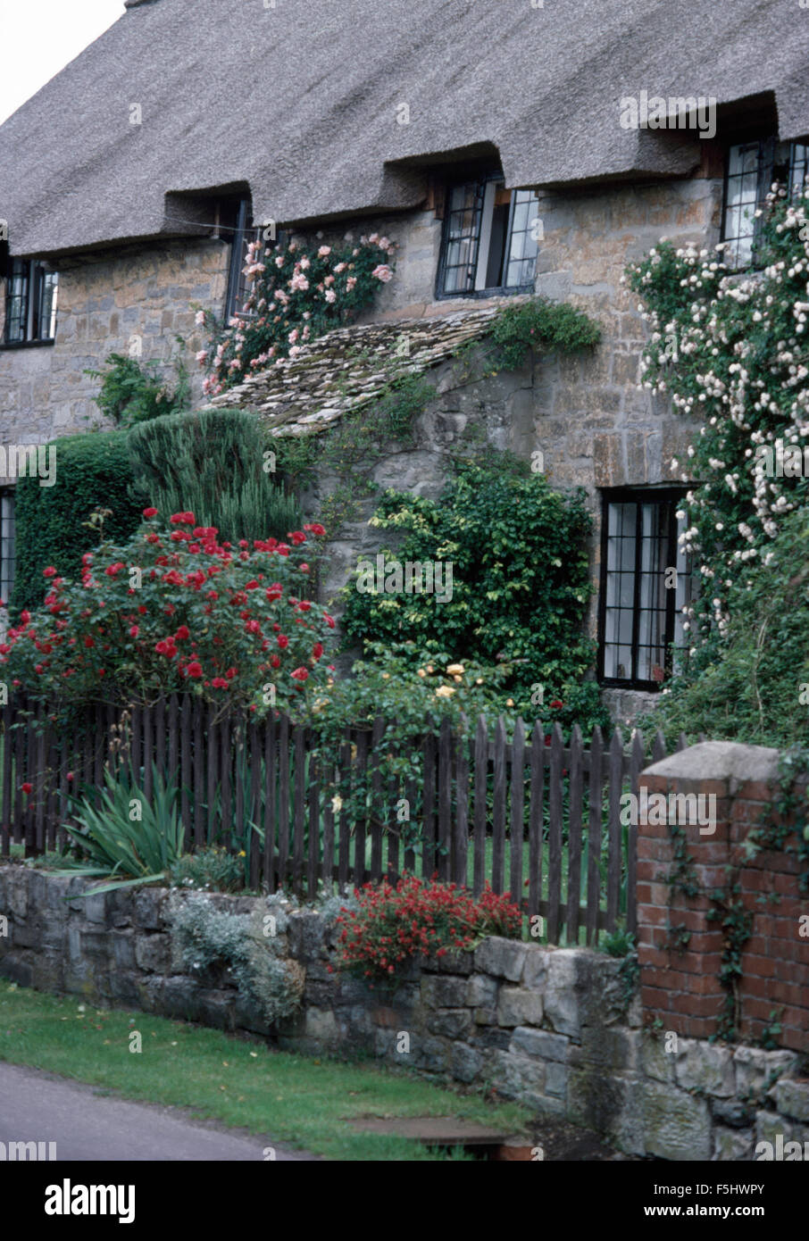 Exterior of thatched cottage with a picket fence and climbing roses on ...