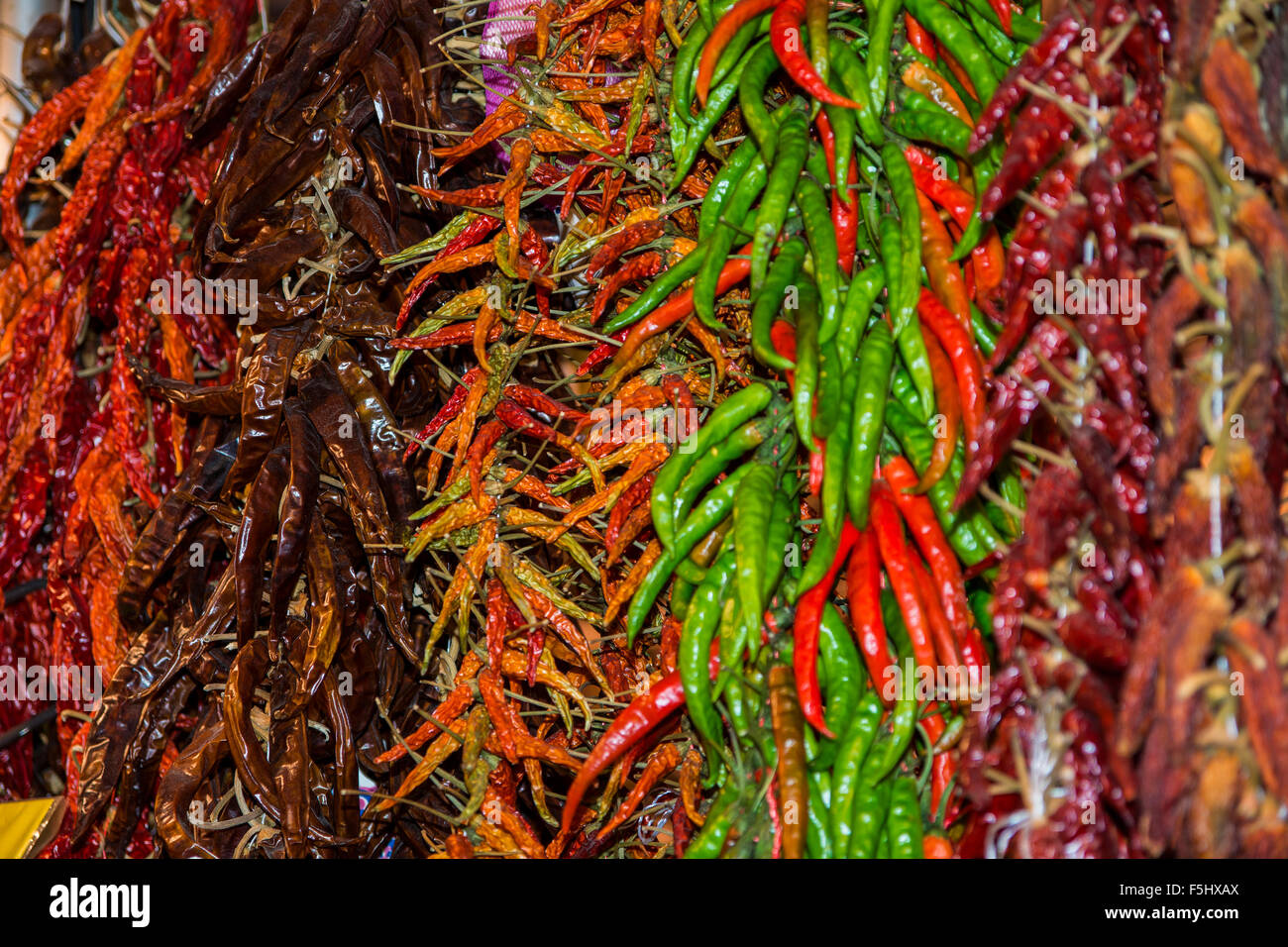 Abstract Background of Variety of Chili Peppers Hanging from Strings ...