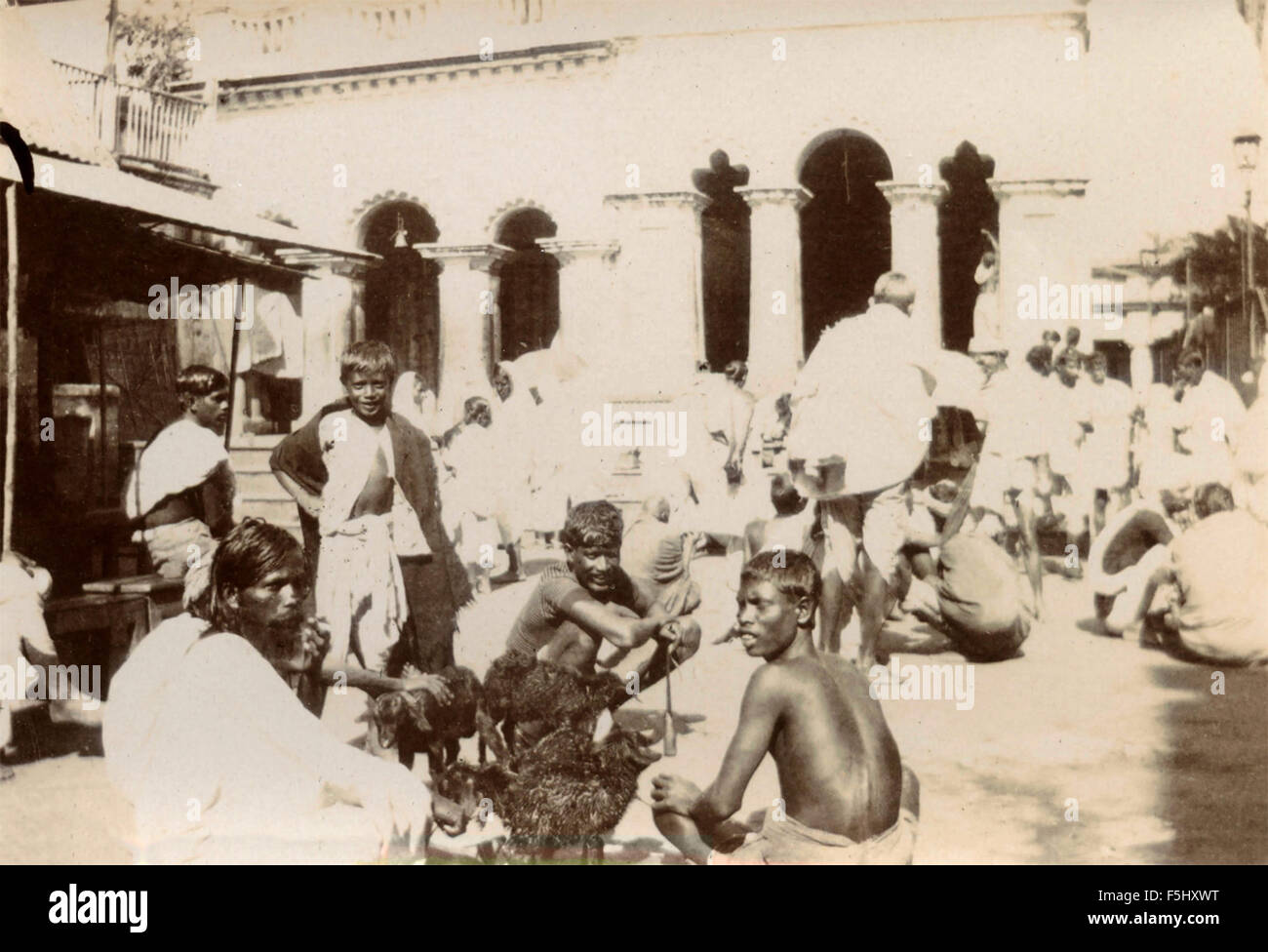 Group of indians with goats hi-res stock photography and images - Alamy