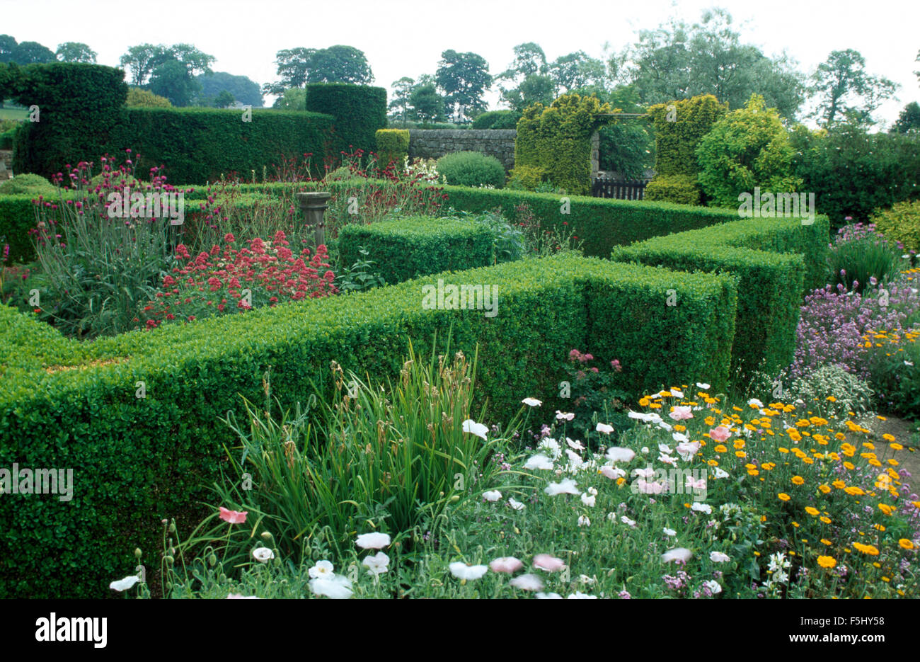 Hedge shrubs shrub perennials hi-res stock photography and images - Alamy