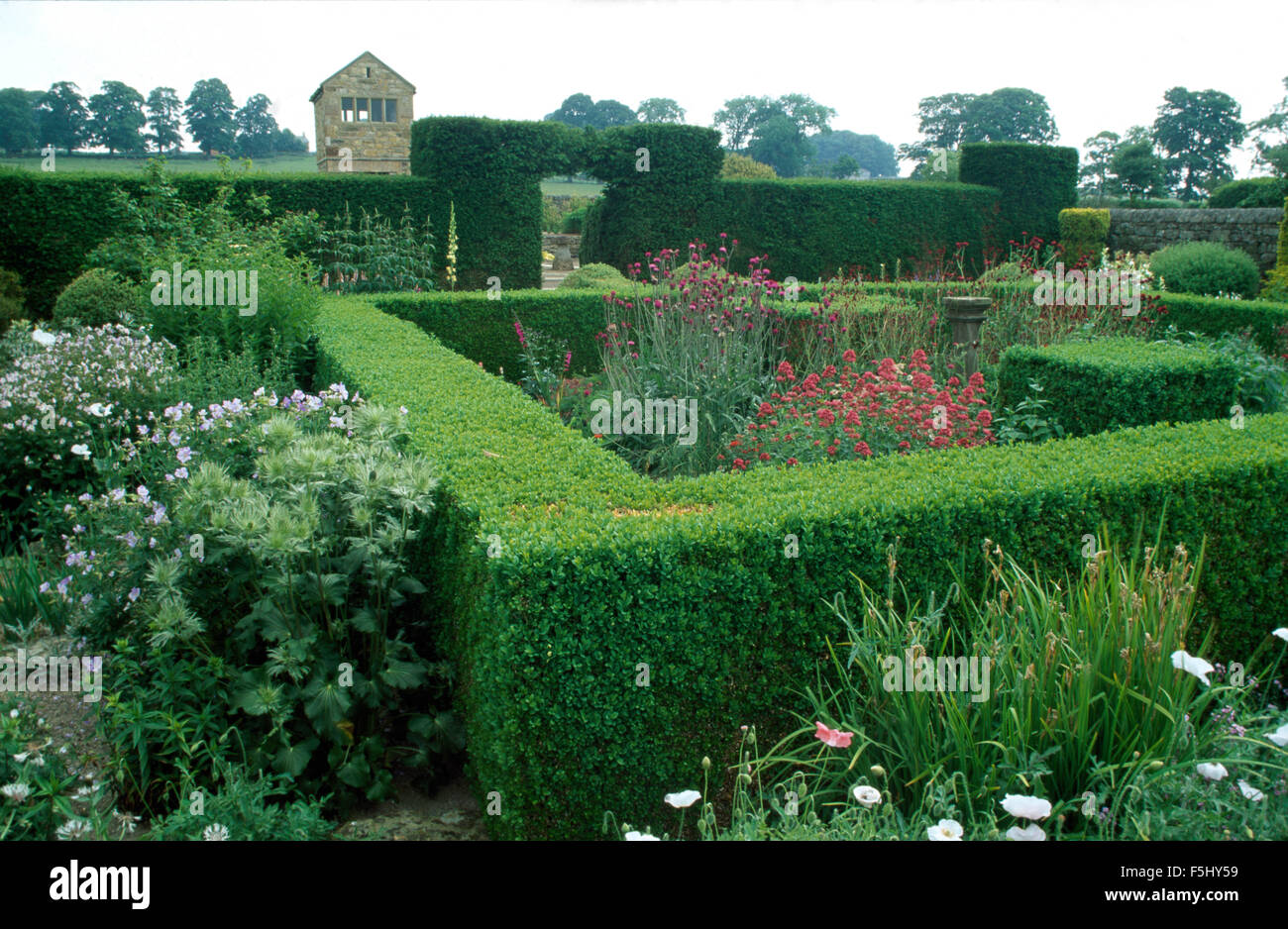 Large tall green hedge hi-res stock photography and images - Alamy