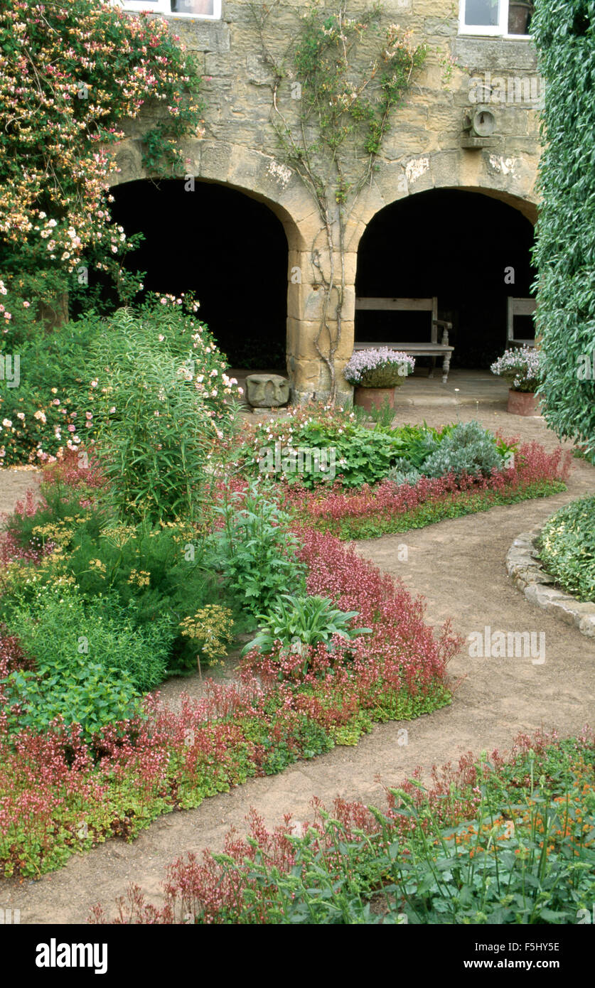 Red Heuchera edging borders beside paved path in country garden Stock ...