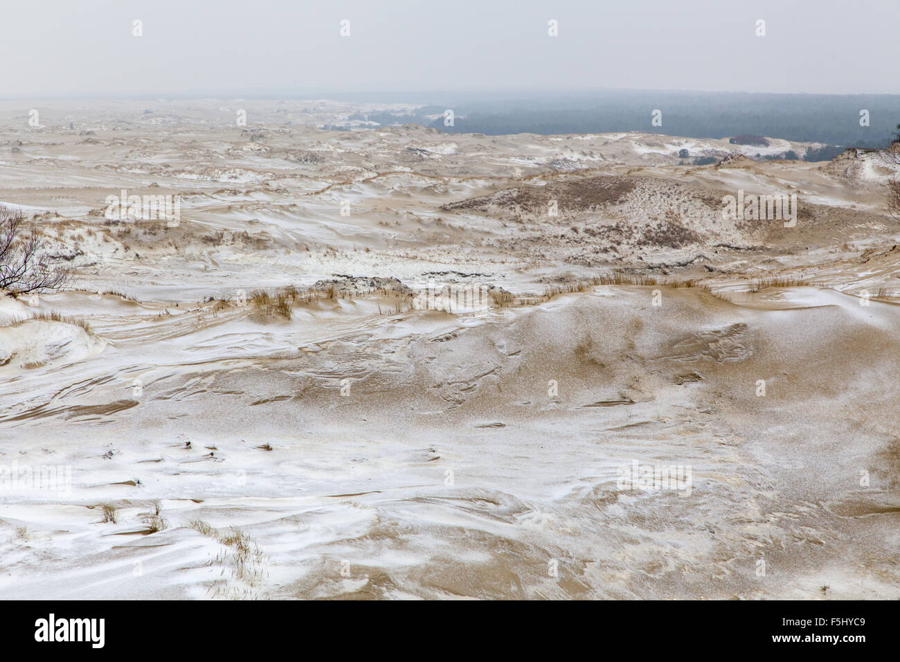 Snow covered sand dunes Stock Photo - Alamy