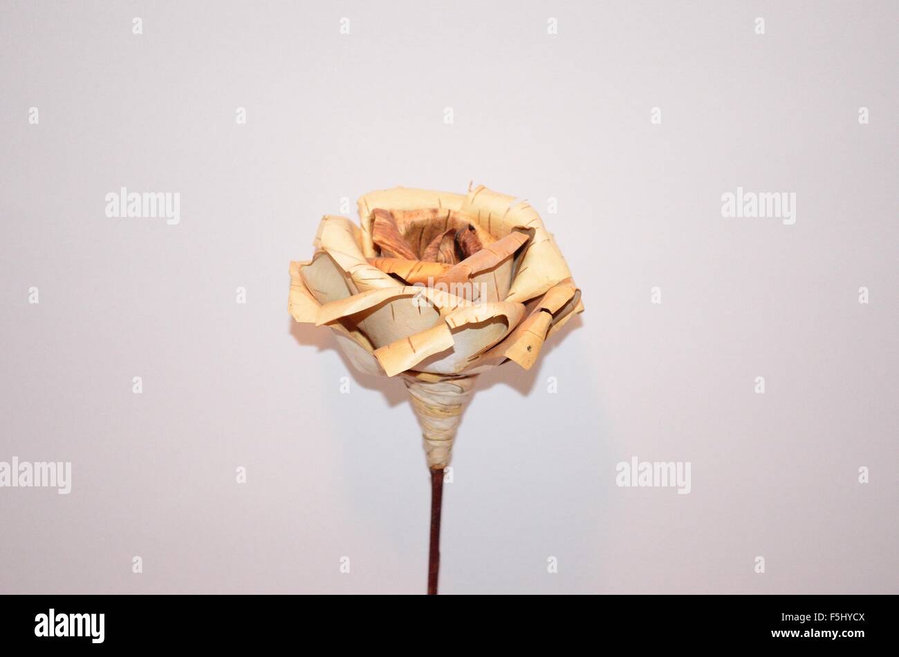 homemade birch bark rose on white background Stock Photo - Alamy