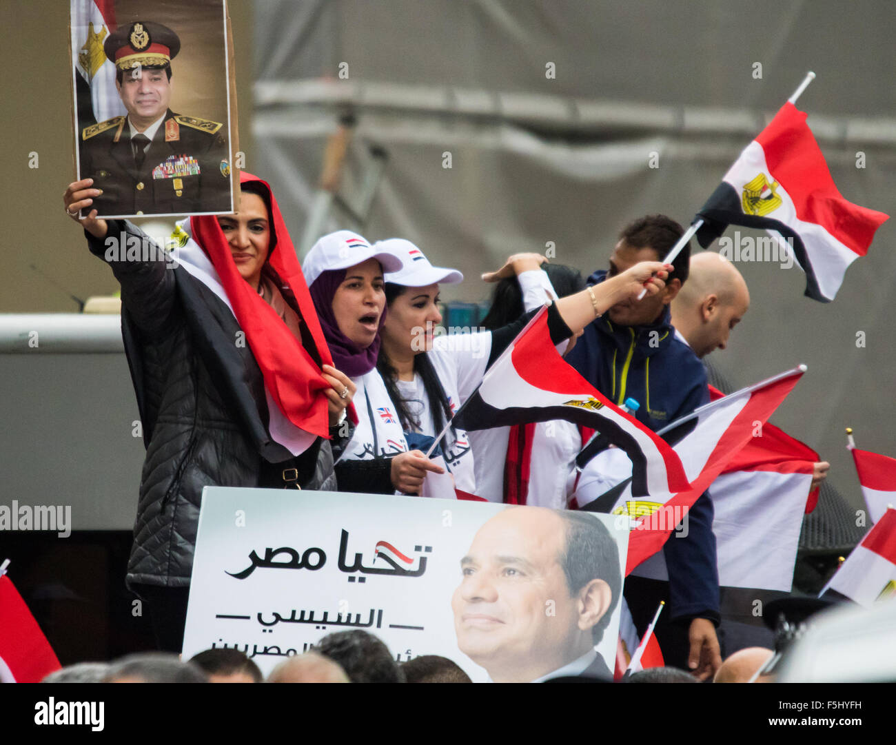 Whitehall, London, November 5th 2015. Pro Sisi demonstrators and ...