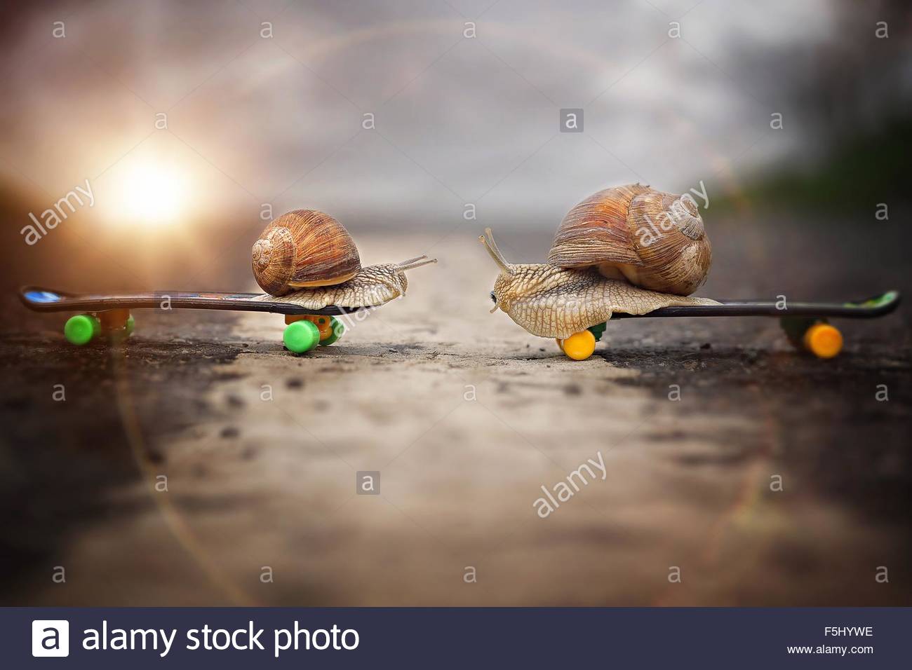 Escargots Stock Photos & Escargots Stock Images - Alamy