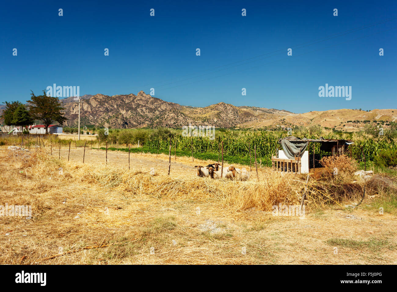 Dry landscape in Calabria with small farm on the foreground Stock Photo ...