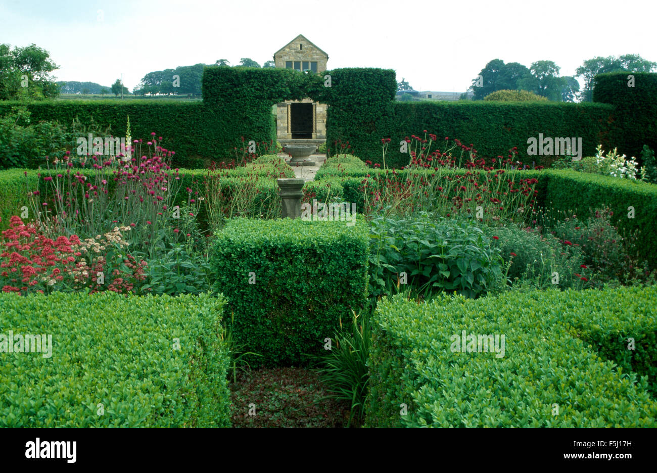 Clipped box shrub hi-res stock photography and images - Alamy