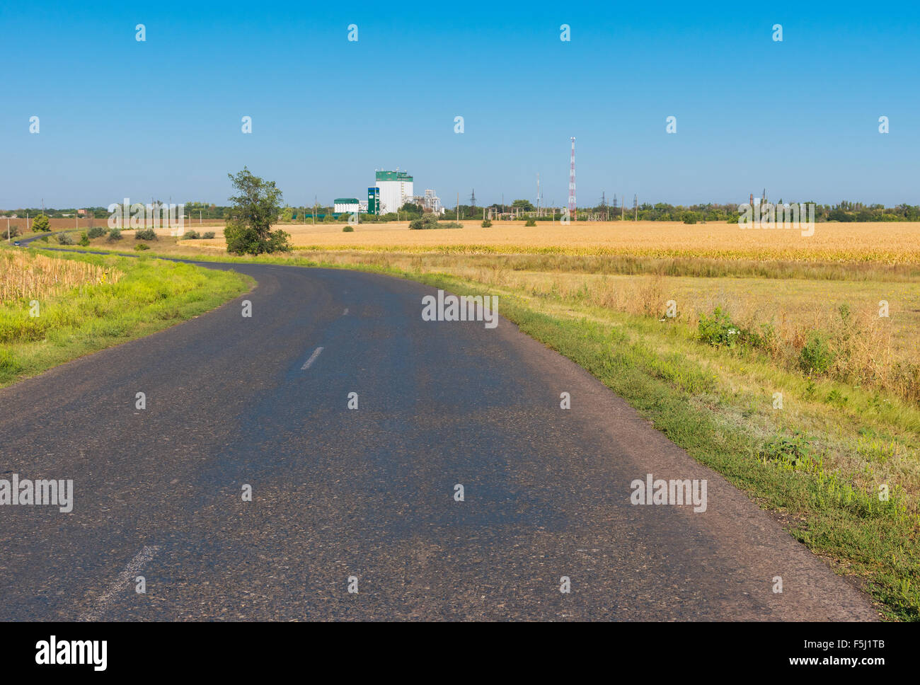Rural road leading to grain elevator in Bozhkove village, in ...
