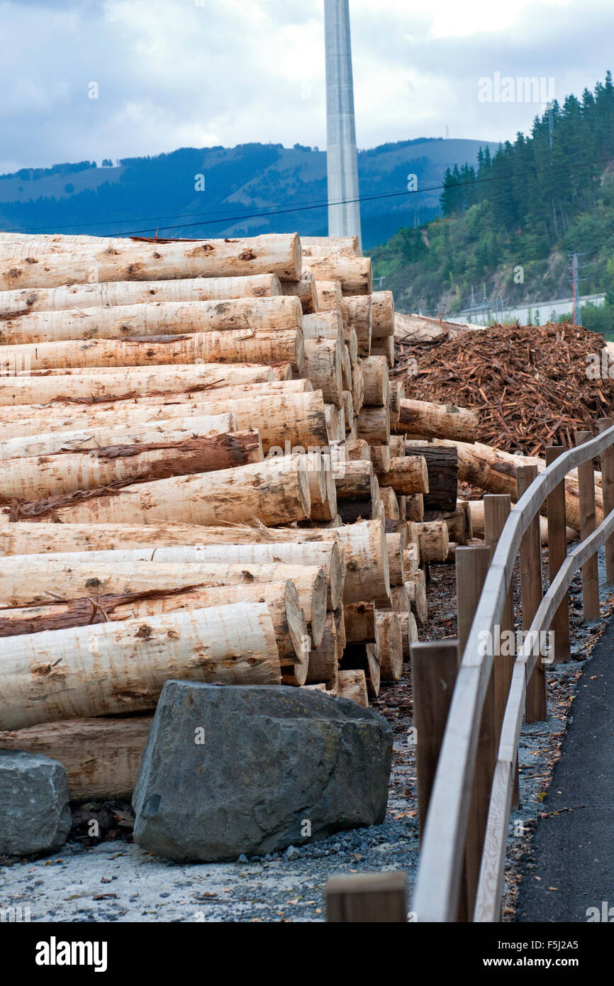 Pinus radiata logs hi-res stock photography and images - Alamy
