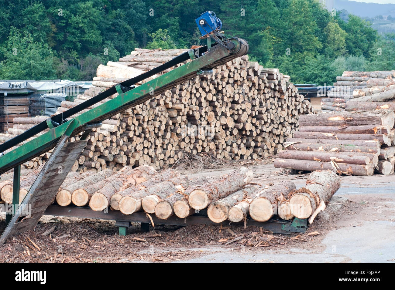 Stacked pinus radiata logs debarked in the sawmill Stock Photo - Alamy