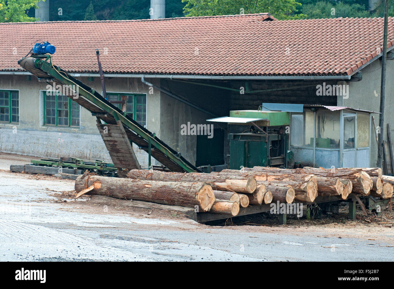 Pinus radiata hi-res stock photography and images - Alamy