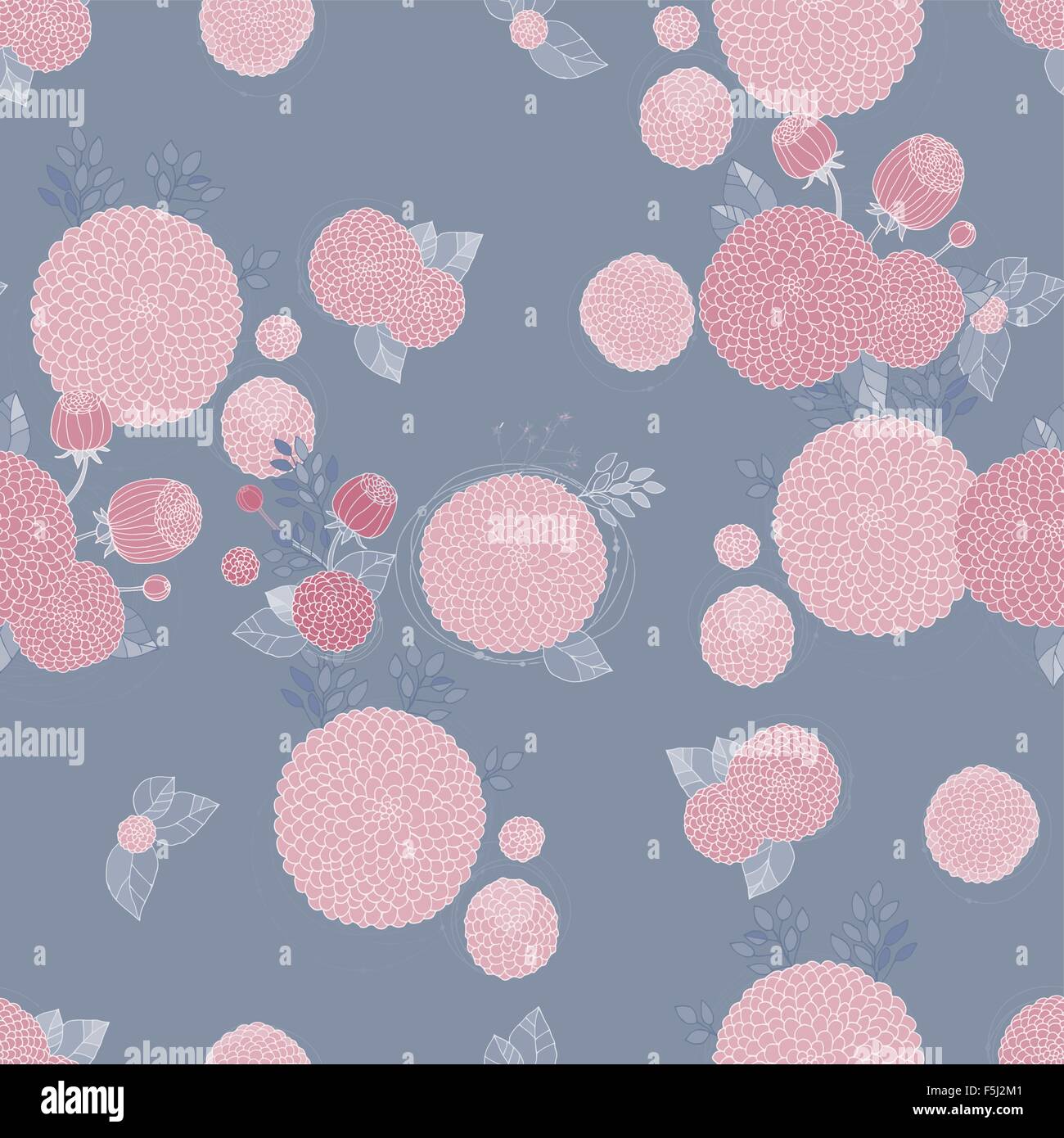 Seamless texture with asters Stock Vector Image & Art - Alamy