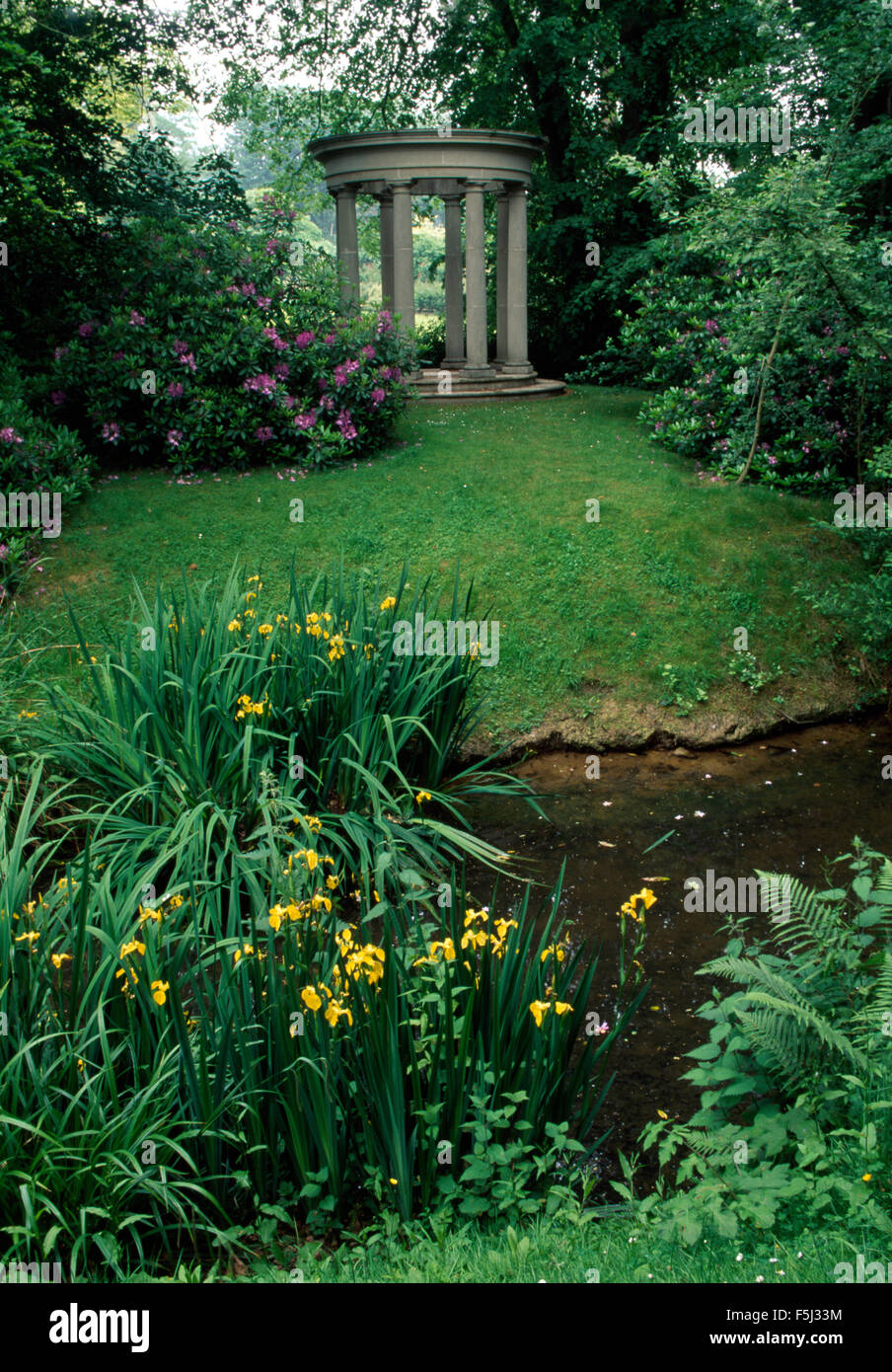 Yellow iris growing beside a stream in front of a stone temple in a ...