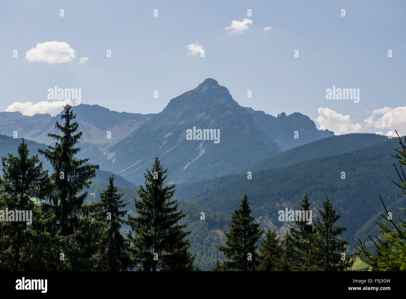 Looking through the trees to a mountain forest backdrop in Austria ...