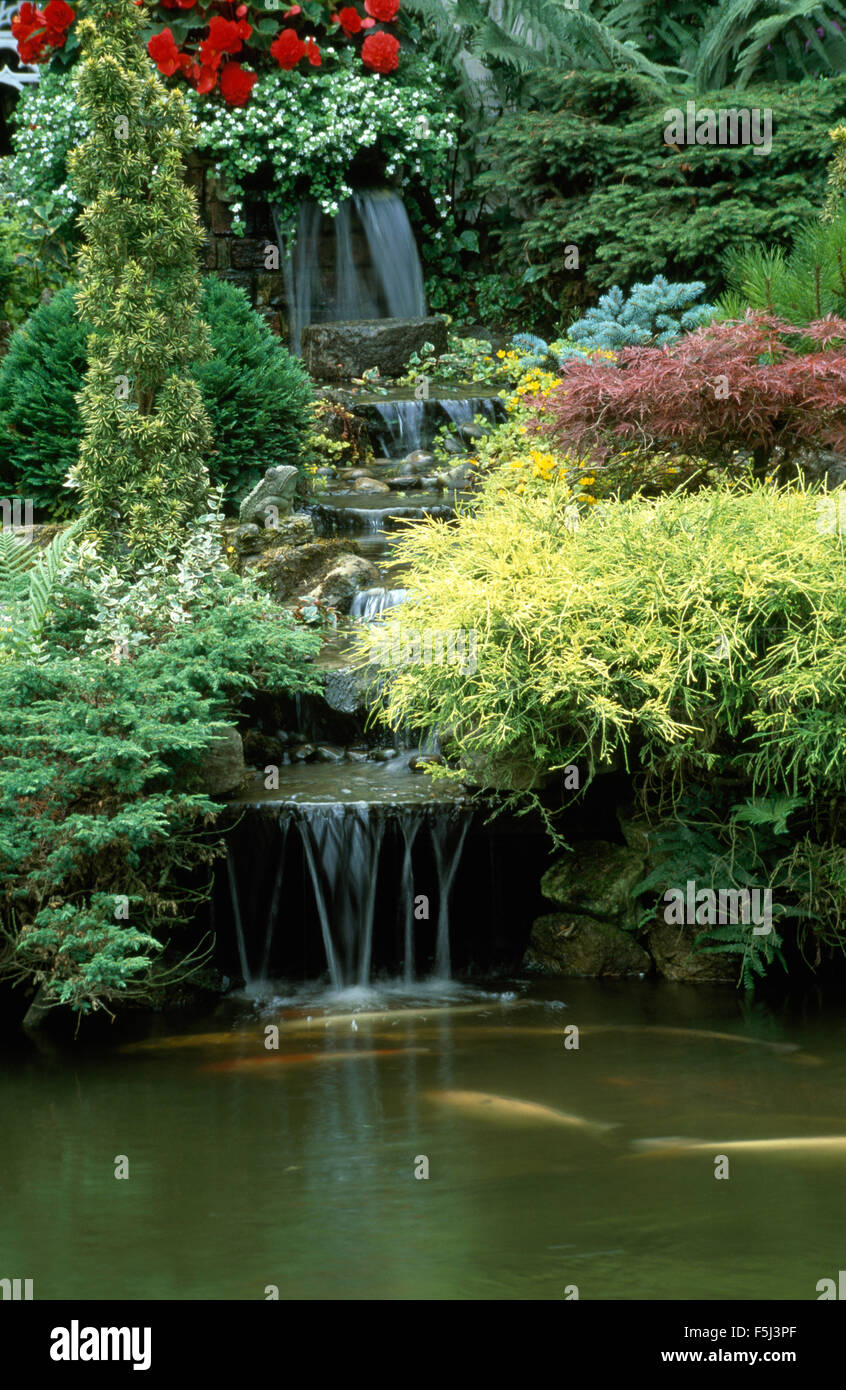 Yew fastigiate hi-res stock photography and images - Alamy