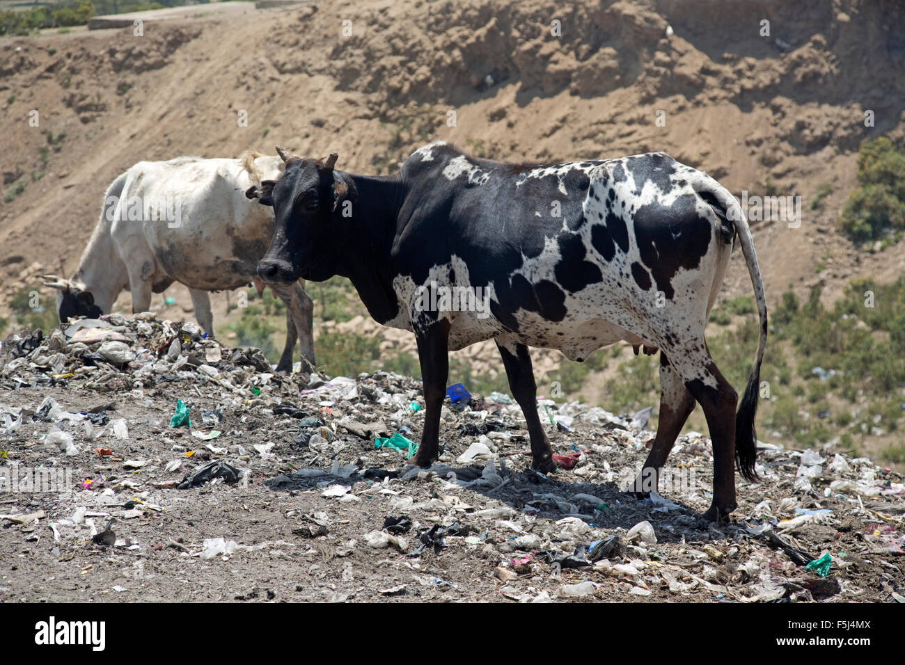 Rubbish dump hi-res stock photography and images - Alamy