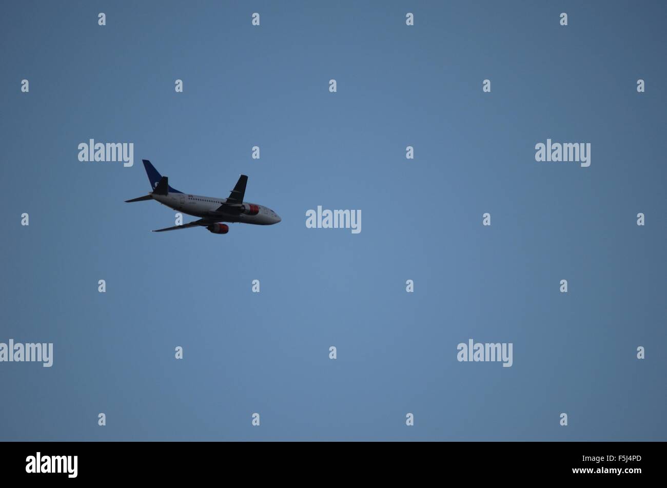 Tail sas aircraft hi-res stock photography and images - Alamy