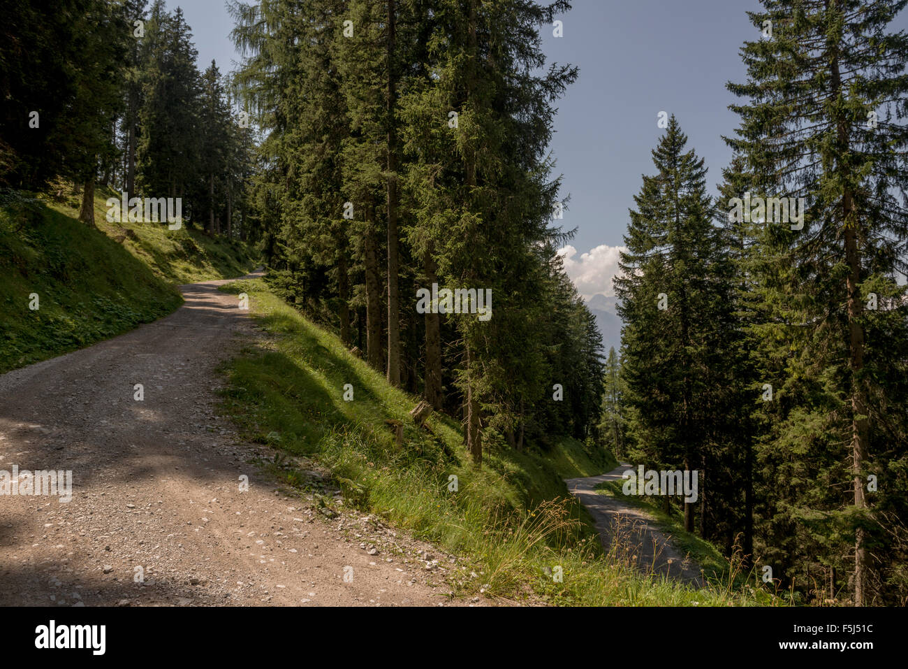 Looking up and down a path in an Austrian mountain Stock Photo - Alamy