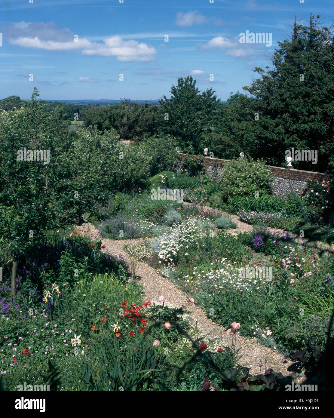 See through flower hi-res stock photography and images - Alamy