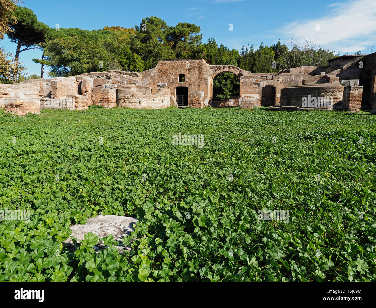 Rome and grain hi-res stock photography and images - Alamy