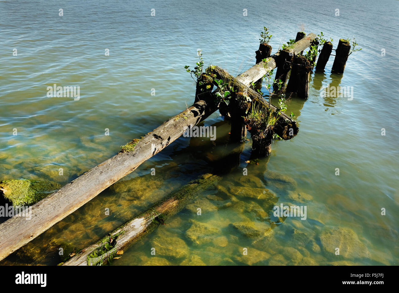 Destroyed landscape hi-res stock photography and images - Alamy