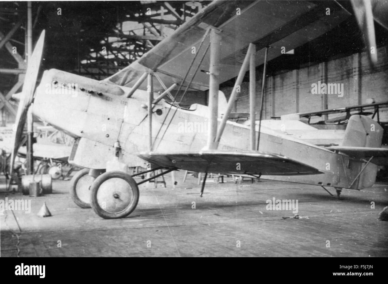 Image of an Albatros L78 aircraft, showcasing its design and features ...