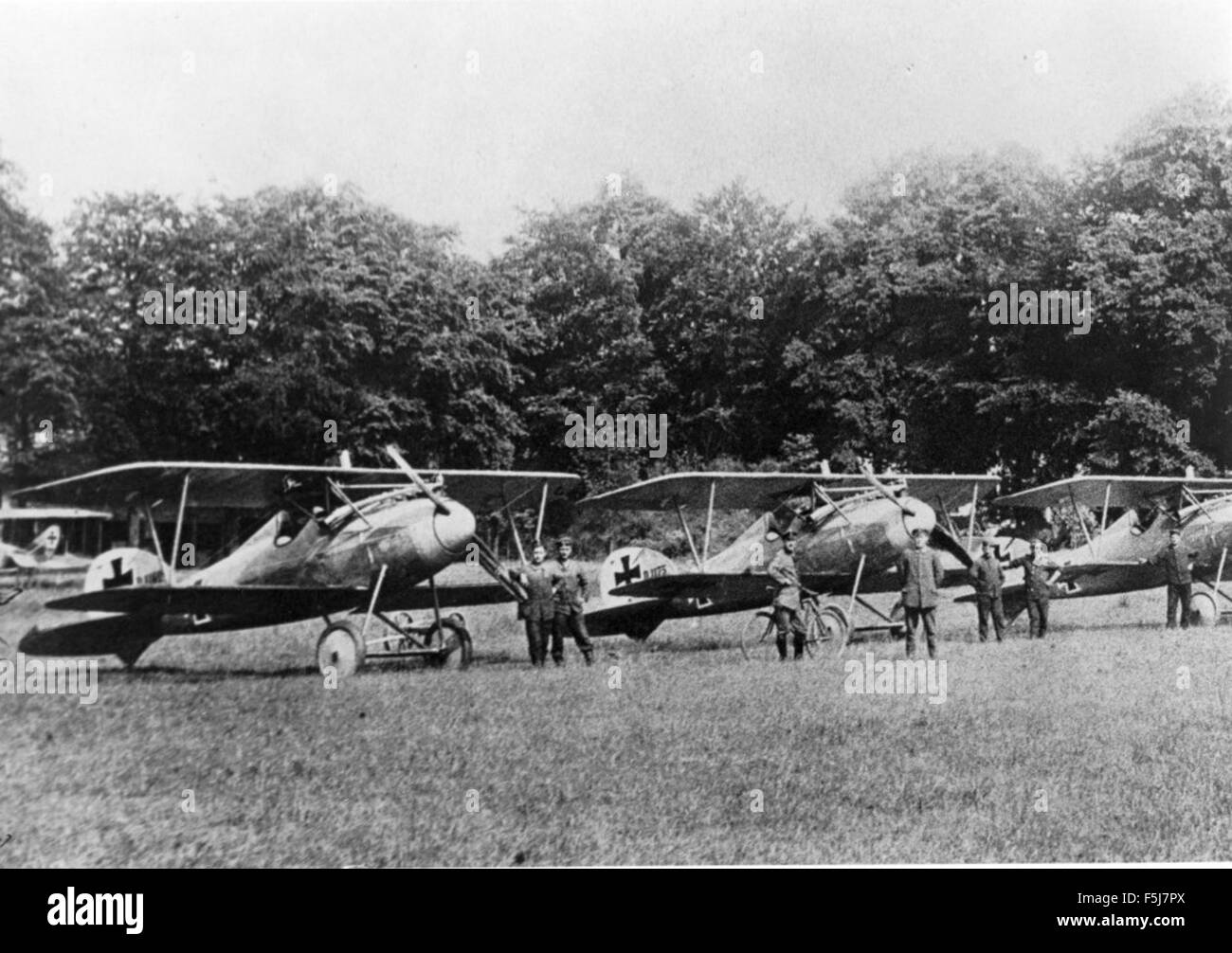 The Albatros DV was a German World War I fighter aircraft, known for ...