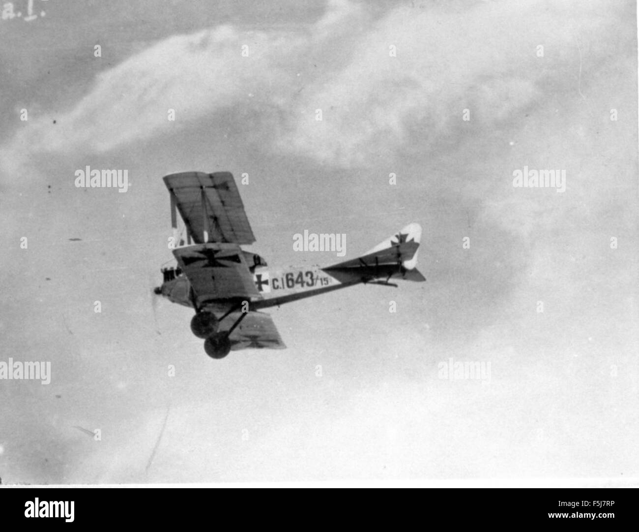 A photograph of an Albatros aircraft, a German World War I fighter ...
