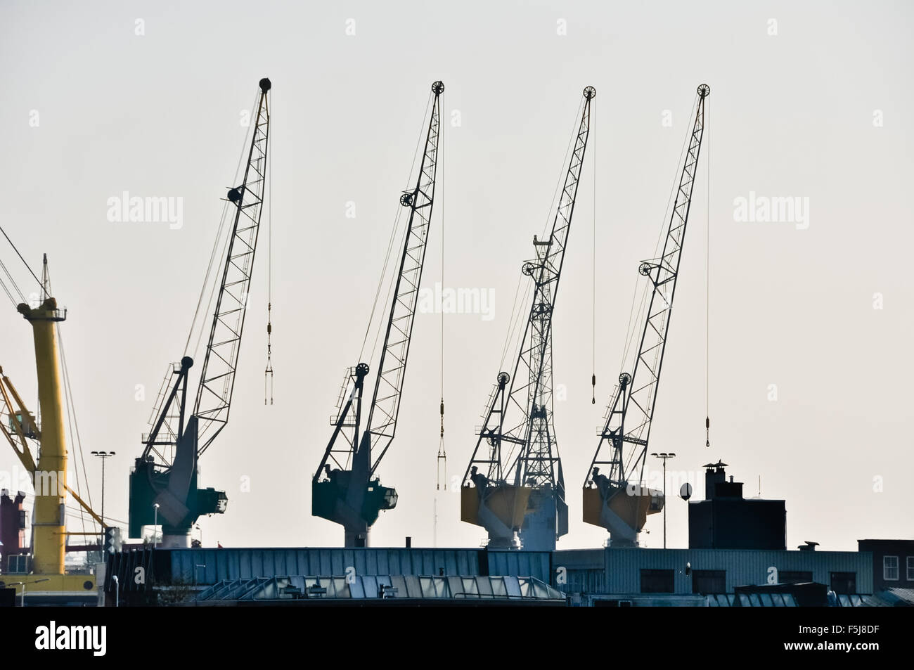 sea cargo port large cranes Stock Photo - Alamy