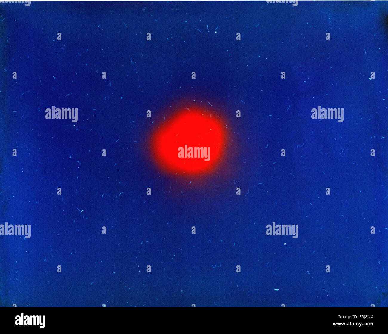 A photograph showing laser illumination in sunlight, with a filter ...