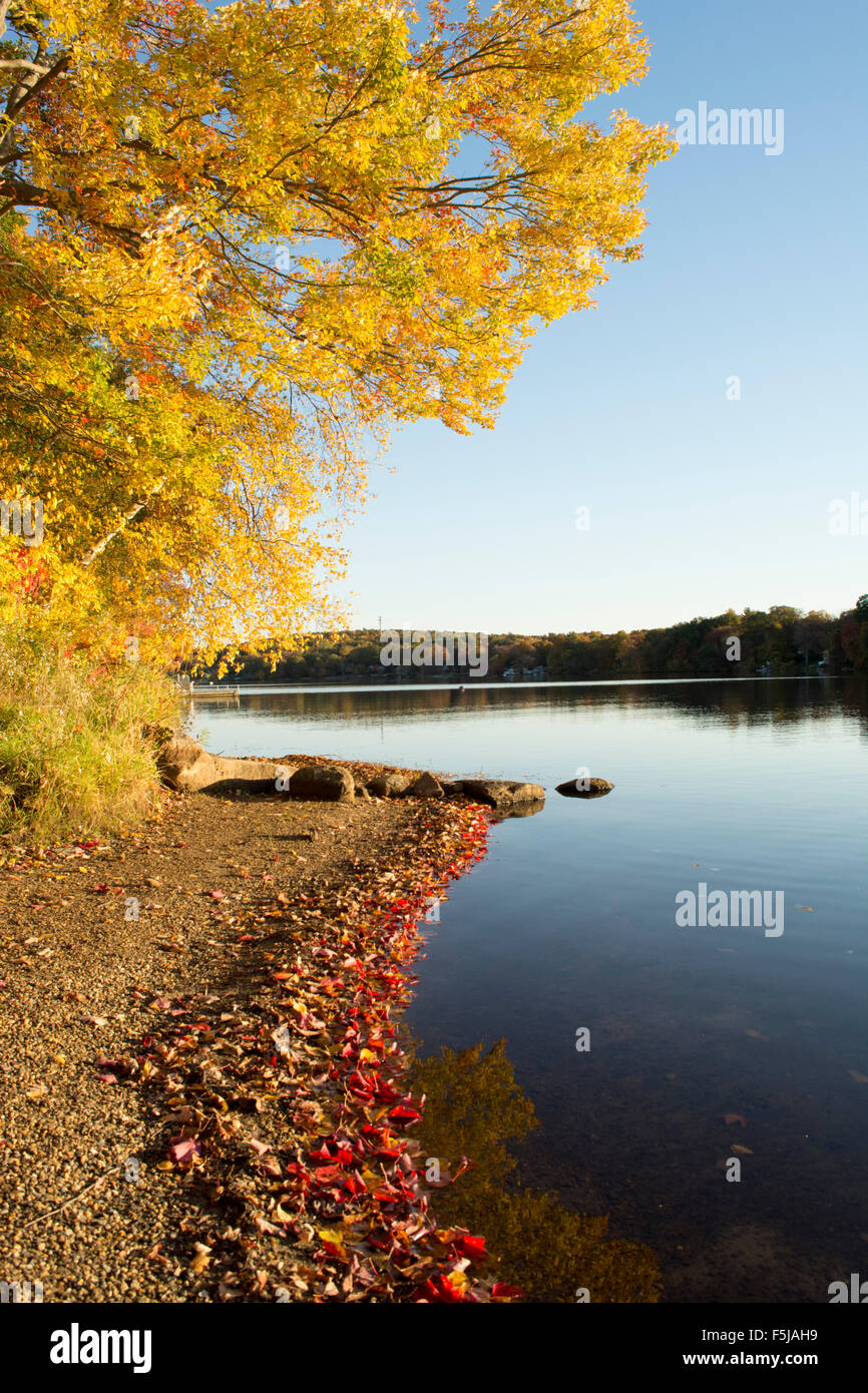 Peaceful Fall Images