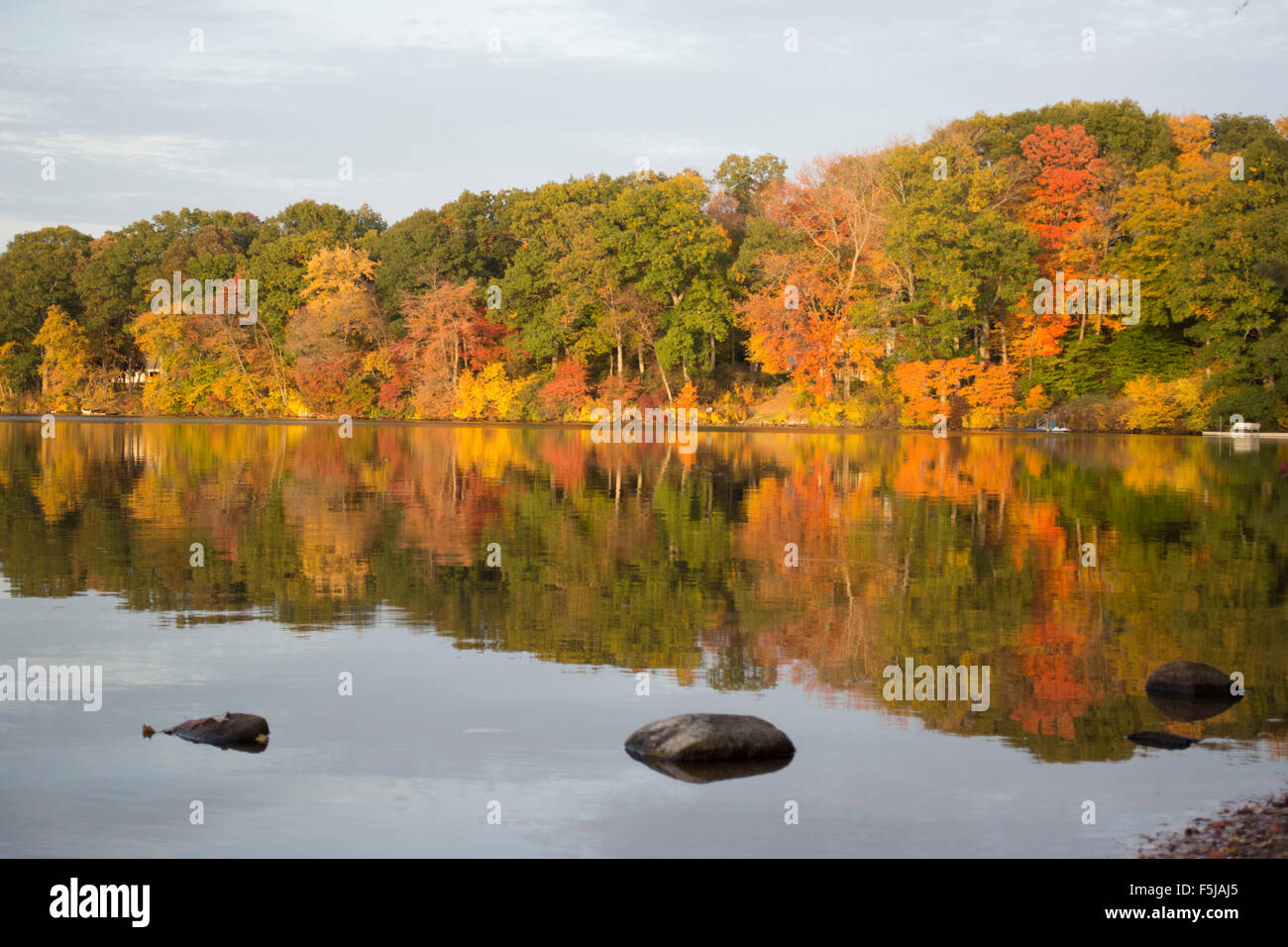 lake, rocks, trees, colors, park, forest, peaceful, fall, autumn ...