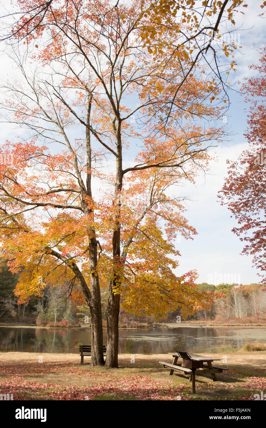 Peaceful book cover hi-res stock photography and images - Alamy