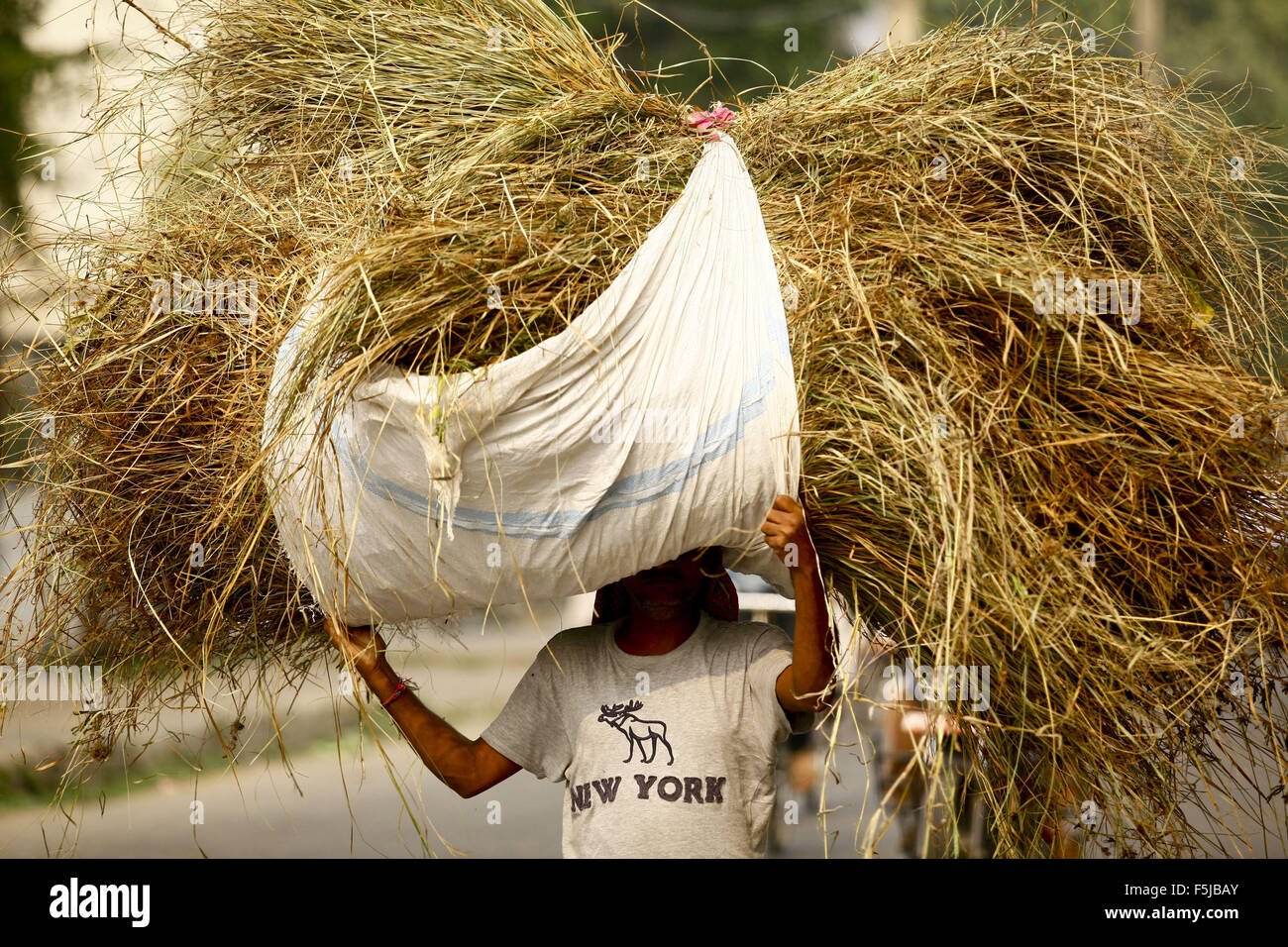 Birgunj hi-res stock photography and images - Alamy