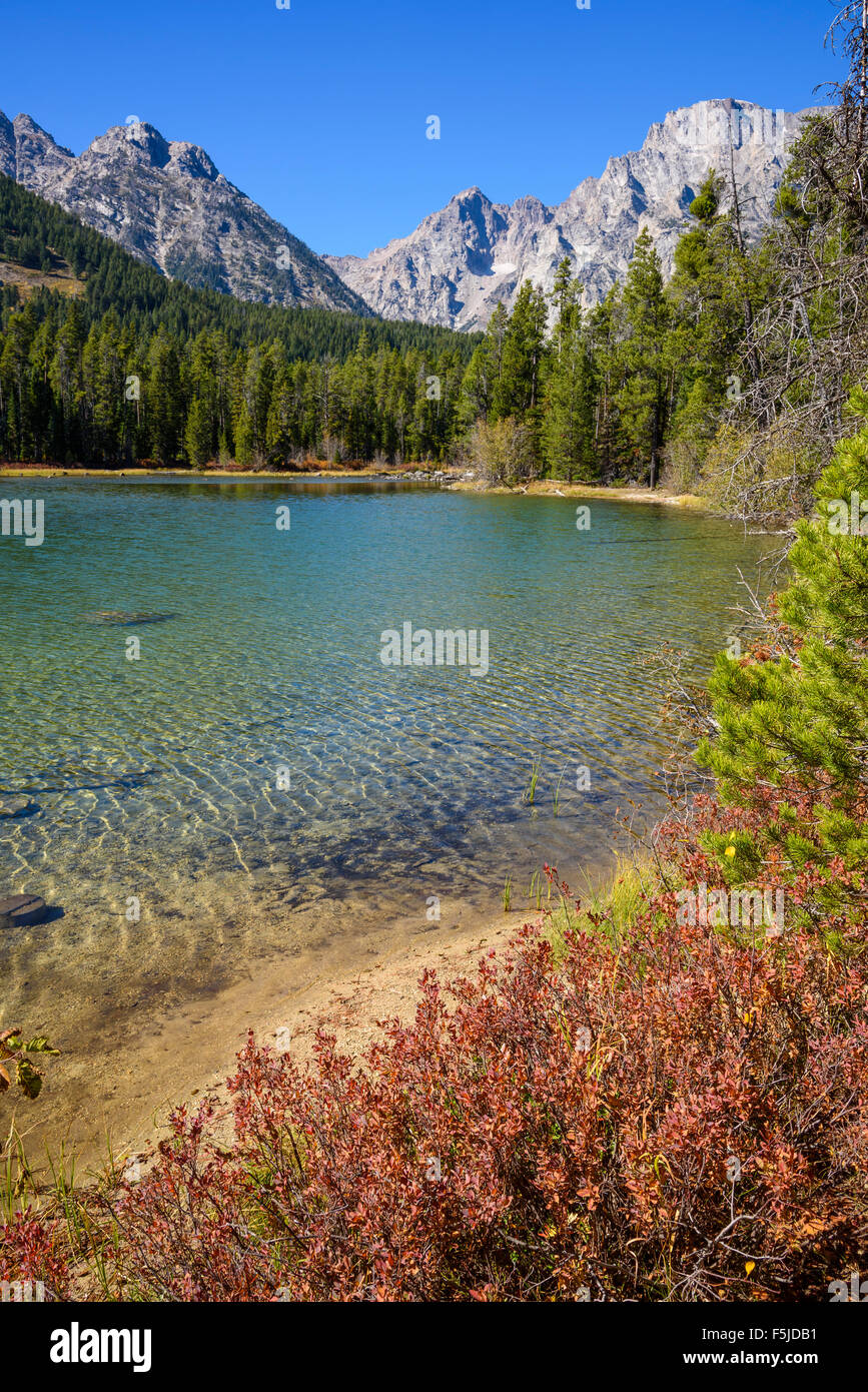 Grand Tetons National Park High Resolution Stock Photography and Images ...