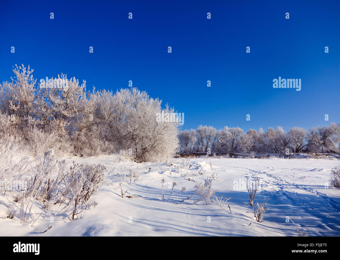 Cold landscape with sky frost hi-res stock photography and images - Alamy