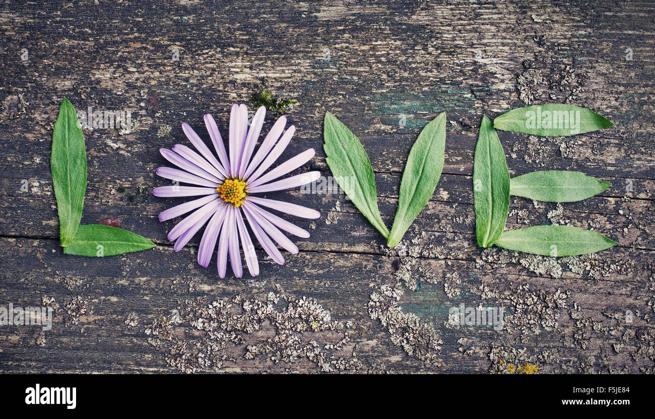 Love gray hi-res stock photography and images - Alamy