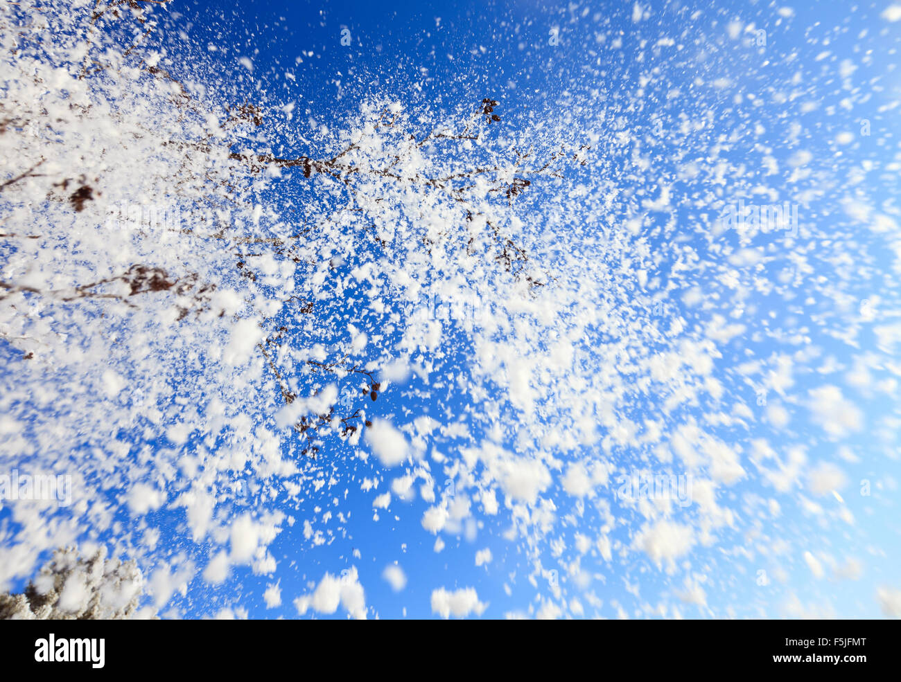 Snowfall snow hi-res stock photography and images - Alamy