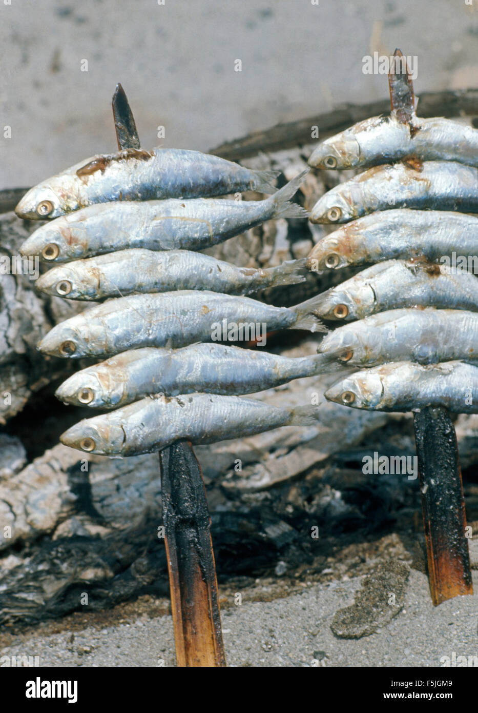 Close-up of sardines grilling over a barbeque Stock Photo - Alamy