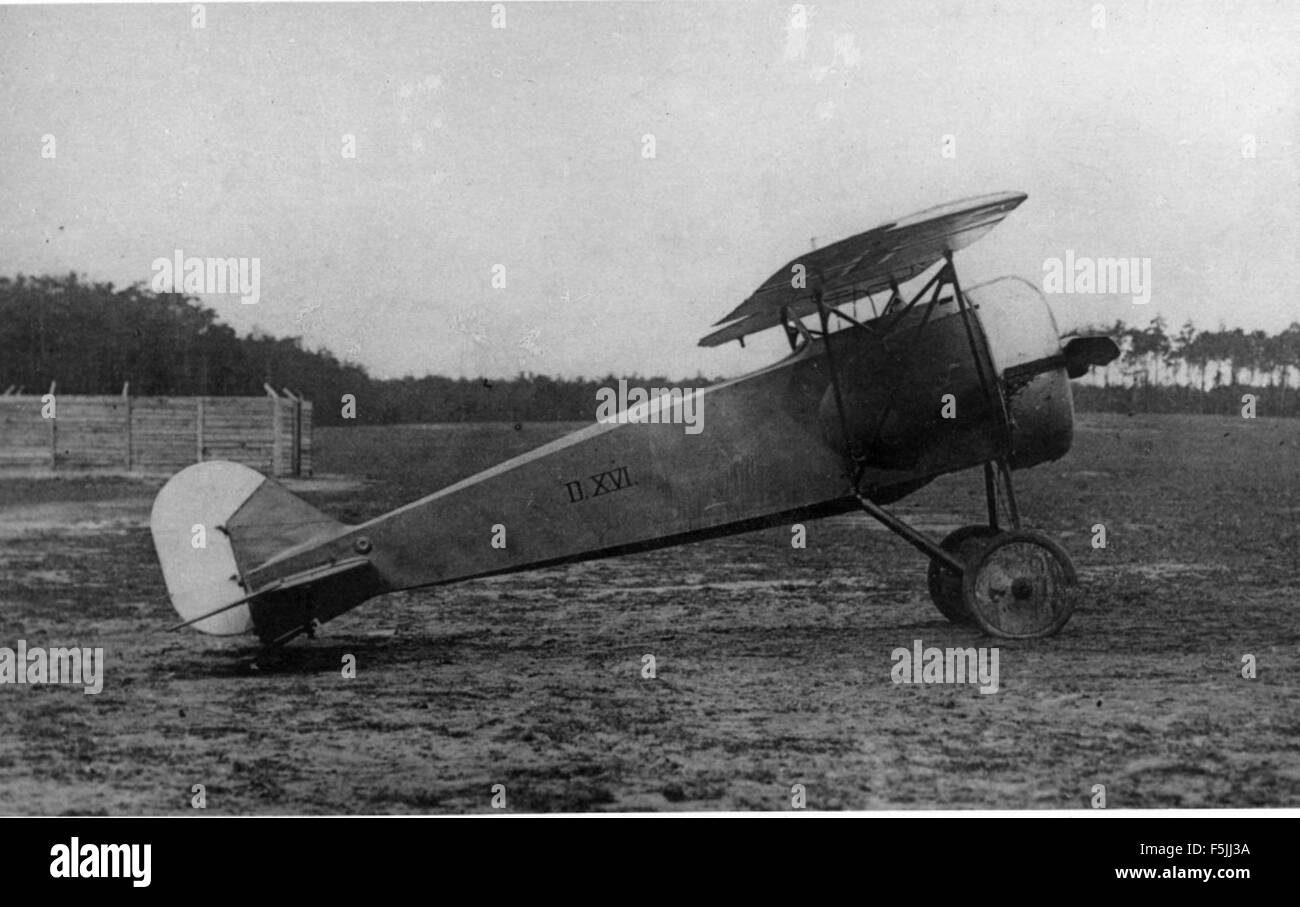 The LFG Roland D XVI Goe III was a German World War I fighter aircraft ...