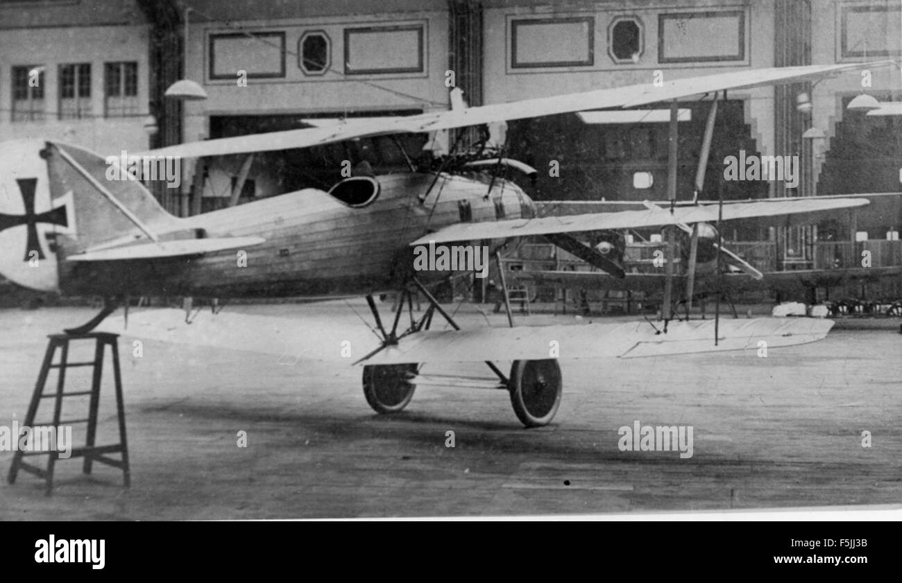 Photograph of a 1917 LFG Roland D IV aircraft, part of the Luft ...