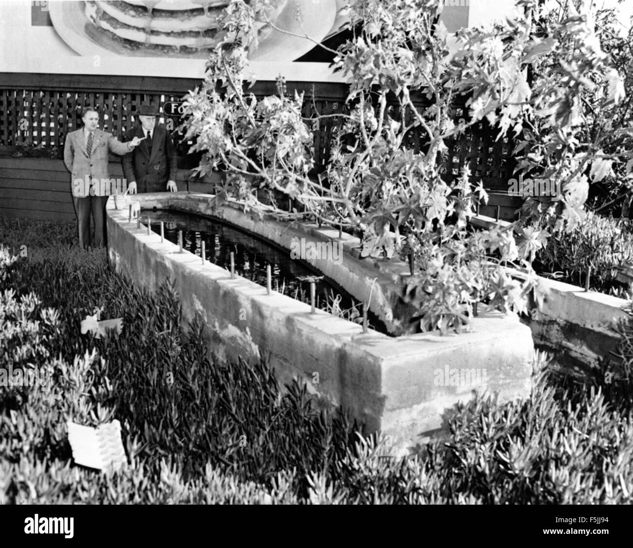 Non aviation Black and White Stock Photos & Images - Alamy