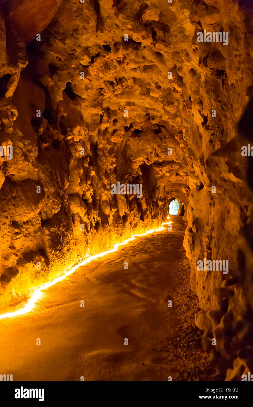 Underground ecology hi-res stock photography and images - Alamy