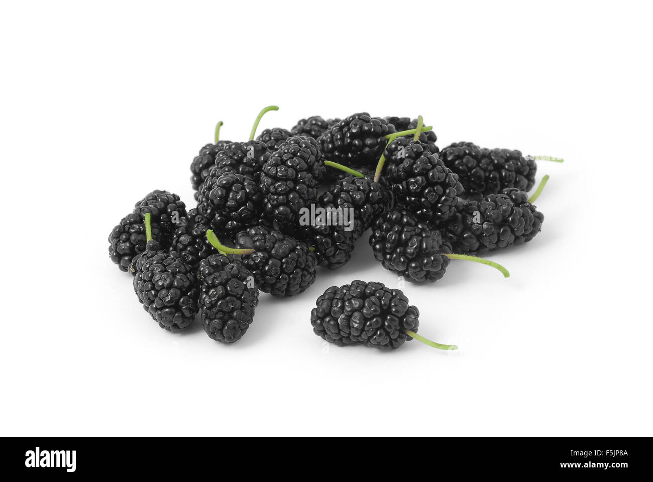 blackberries isolated white Stock Photo - Alamy