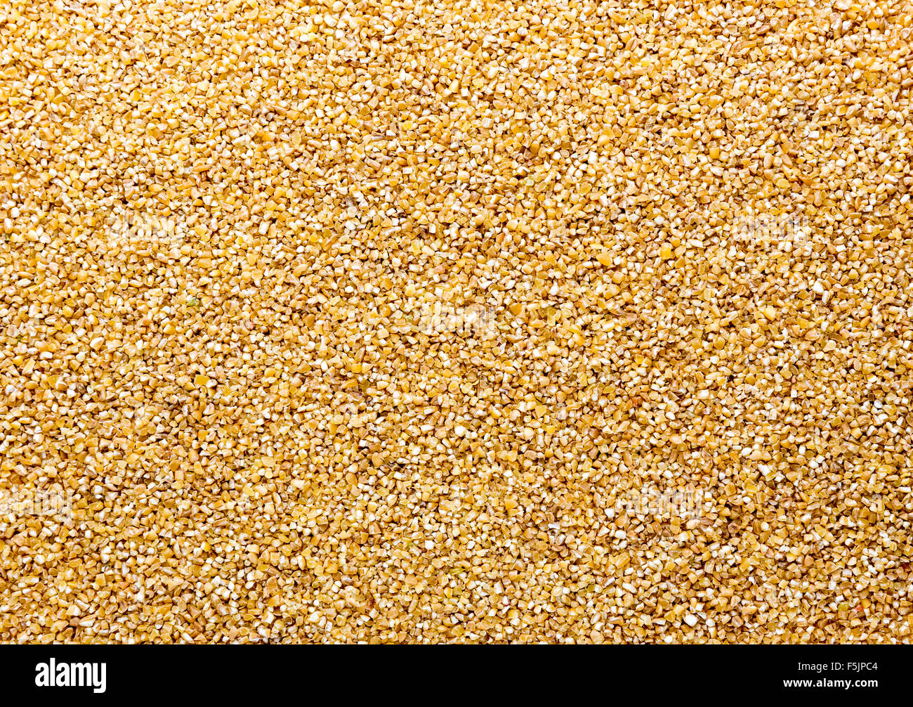 Corn grains. Background or texture Stock Photo - Alamy