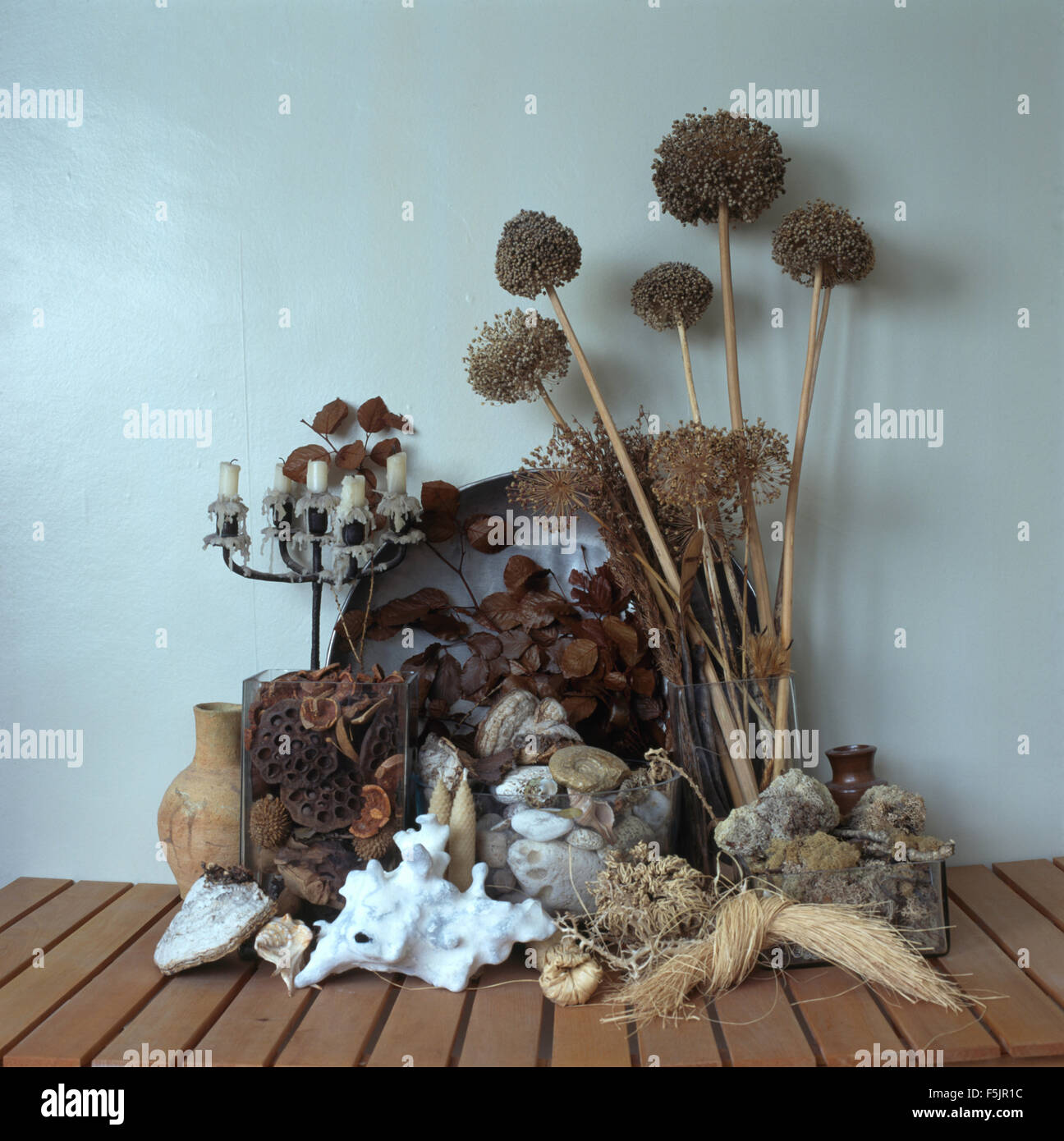Arrangement of sea shells and dried flowers Stock Photo - Alamy